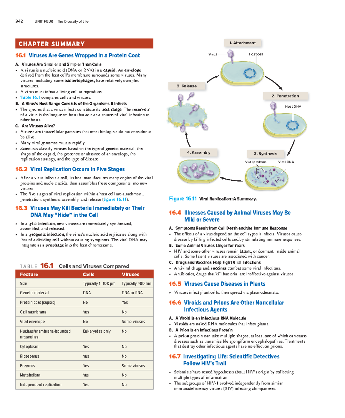 Biology Concepts and Investigations, Chapter Sixteen Review - CHAPTER ...