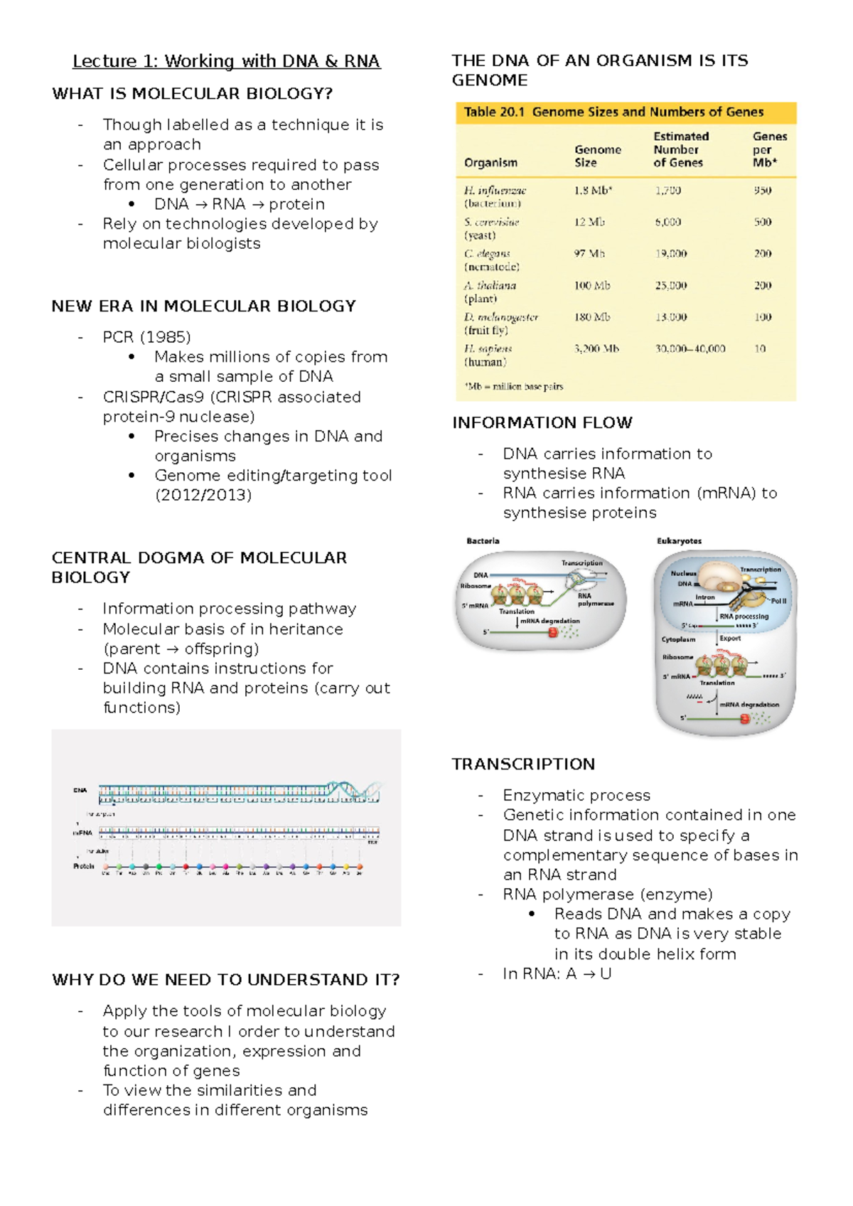 Summaries - Molecular Biology of the Cell - Lecture 1: Working with DNA & RNA WHAT IS MOLECULAR ...