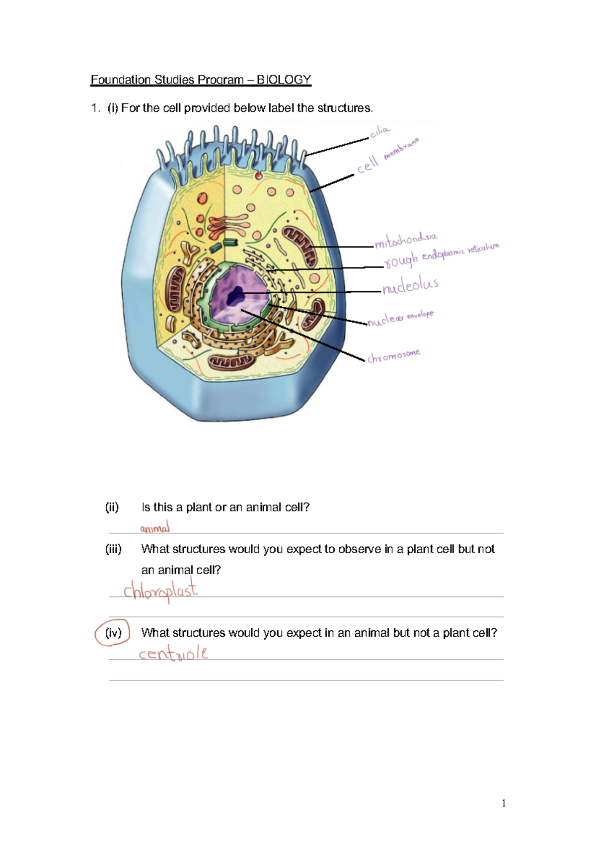 2. Cell labelling - Labeling of plant cell - Foundation Studies Program ...