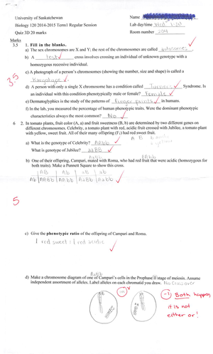 Final - University of Saskatchewan Department of Computer Science CMPT ...