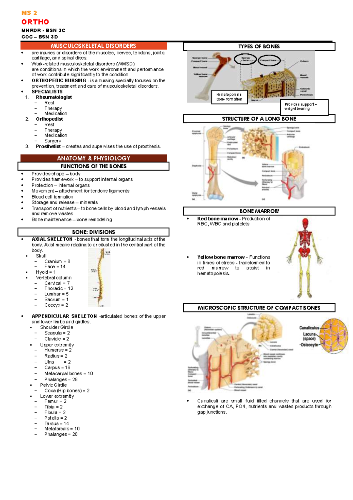 MS -lec-4 - notes only - MS 2 ORTHO MNRDR - BSN 3C COC – BSN 3D ...
