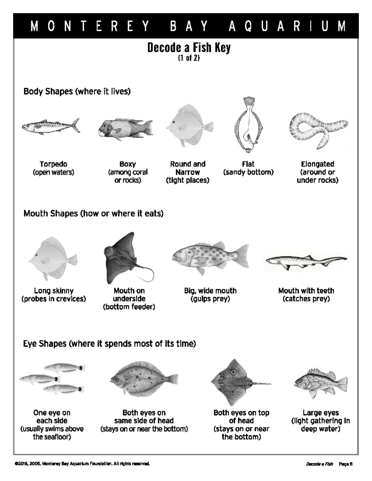 Decode a Fish Key-3 - efonwiefwef - MONTEREY BAY A AQUARIU M Decode a ...