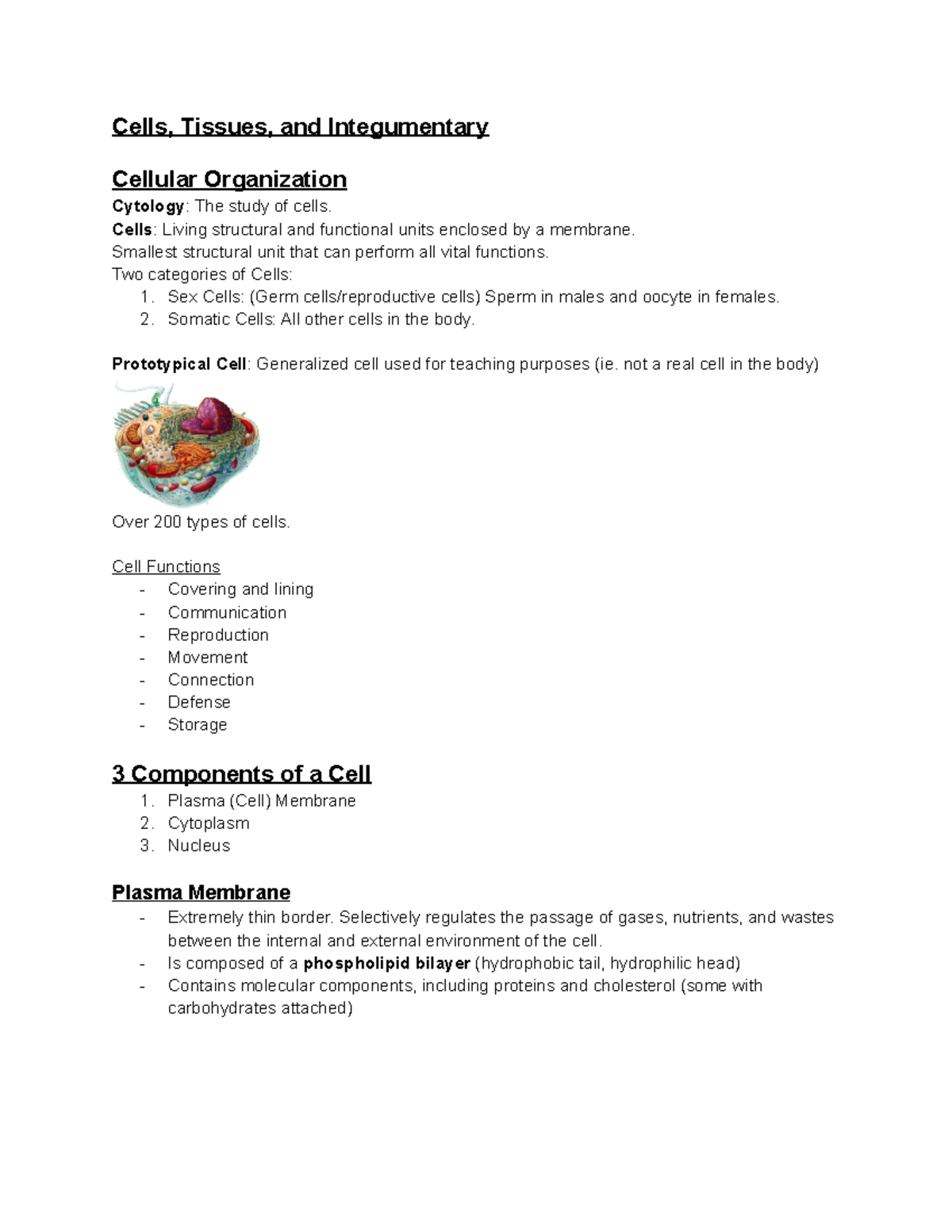 KIN170 - Cells, Tissues, and Integumentary - Cells, Tissues, and ...