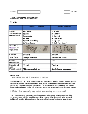 Chapter 10 Selection - Chapter 10 - Selection of Mutants Resistant to Antibiotics Session One ...