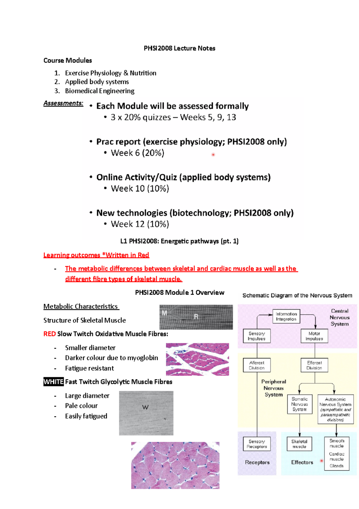 Module 1 PHSI2008 - PHSI2006 - USyd - Studocu