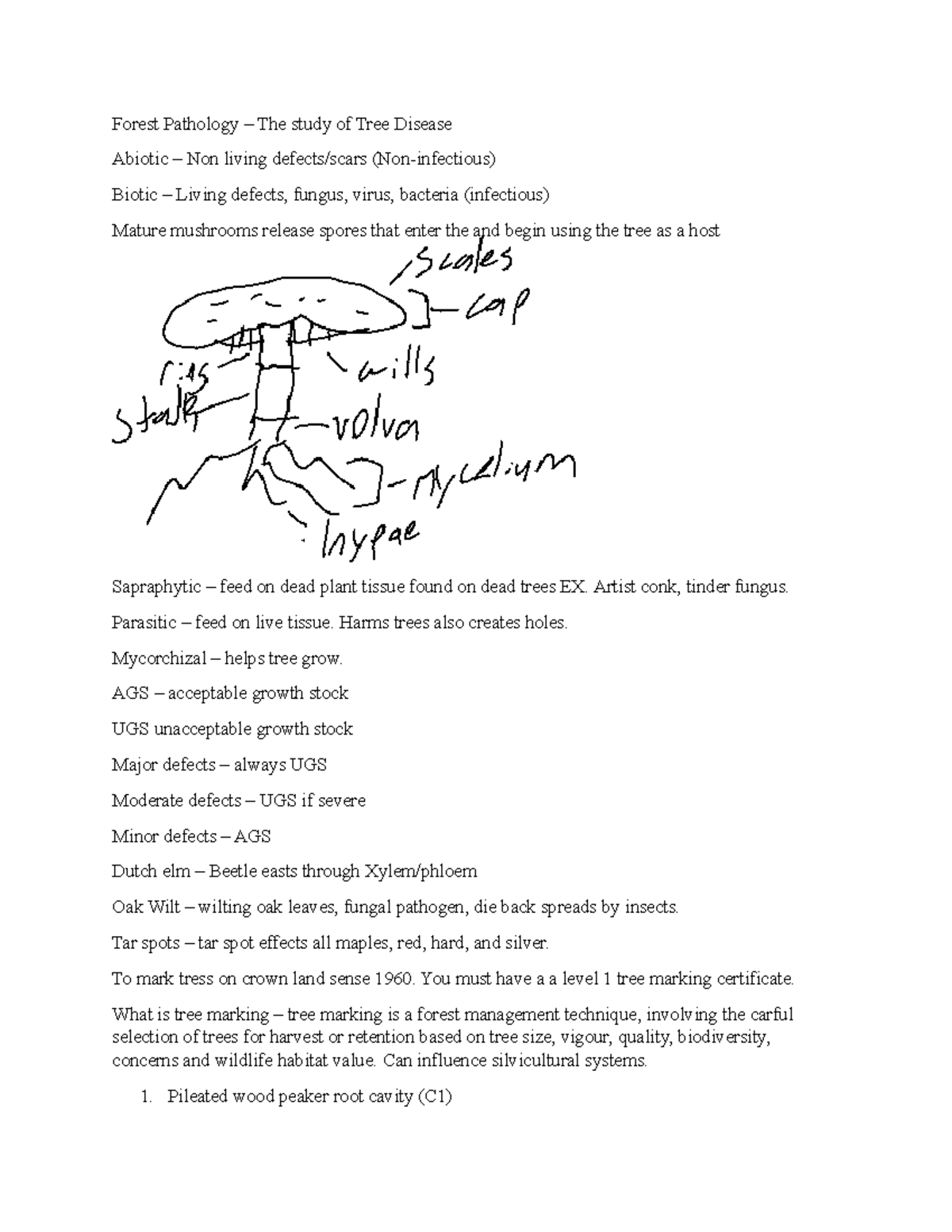 Midterm Review - Forest Pathology – The study of Tree Disease Abiotic ...