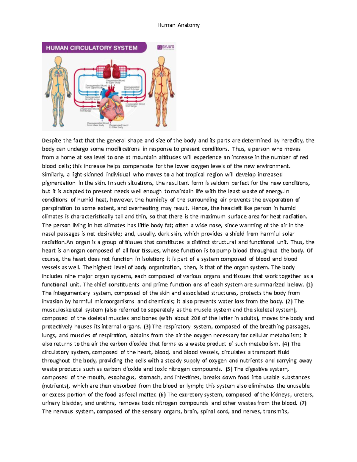 N2 - course work - Human Anatomy Despite the fact that the general ...