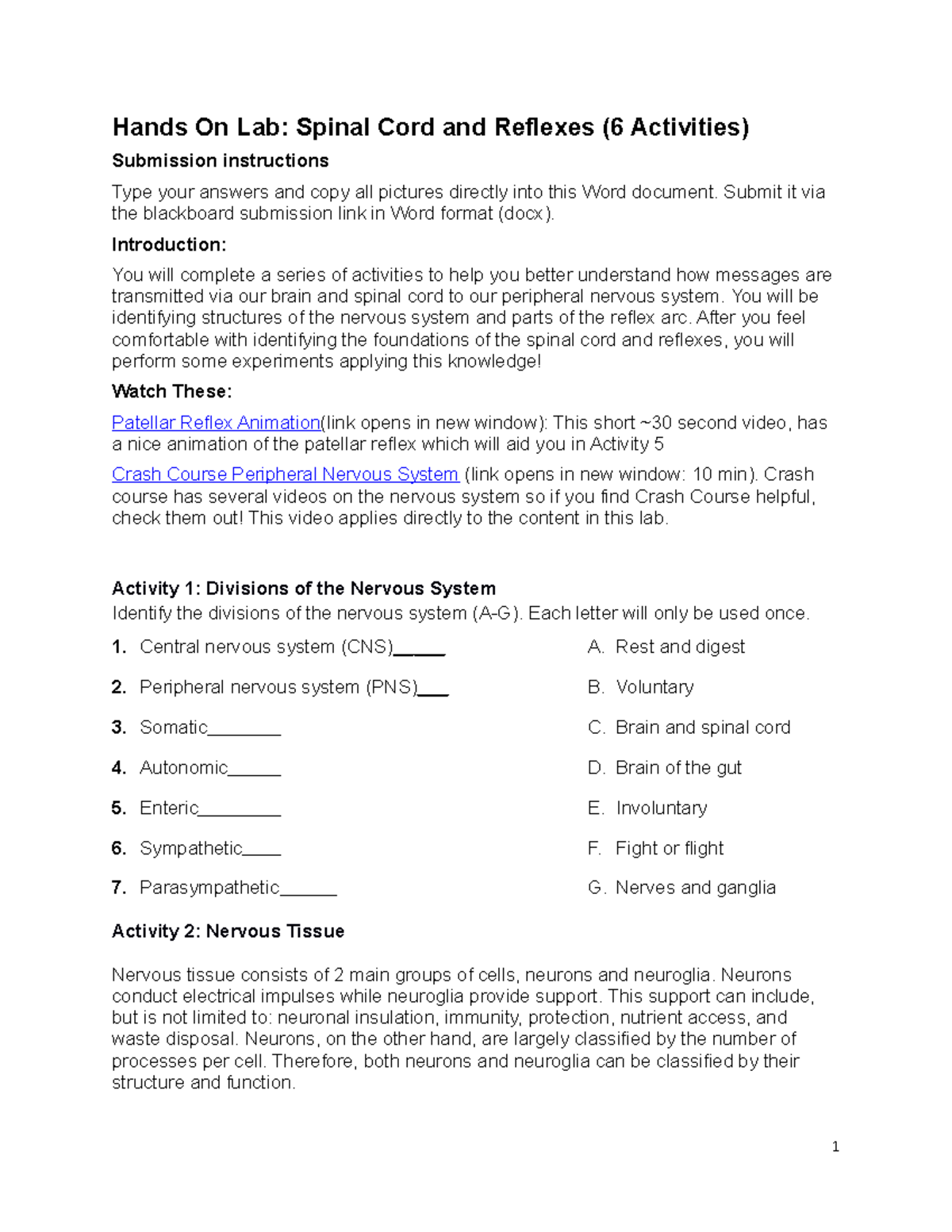 Lab7 Spine Reflex - Hands On Lab: Spinal Cord and Reflexes (6 ...