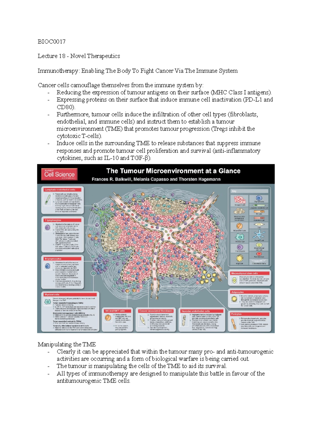 Lecture 18 b17 - BIOC Lecture 18 - Novel Therapeutics Immunotherapy ...