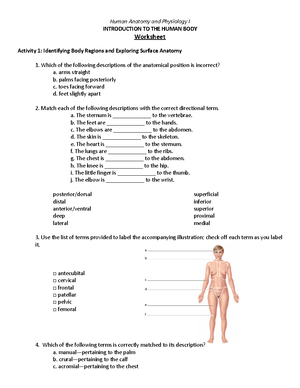Ch 1 Introduction to the Human Body - Chapter 1 Anatomy- is the science ...