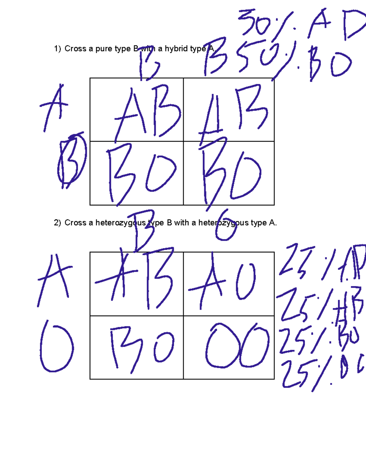 Mark Shelly - blood type practice problem - Cross a pure type B with a ...
