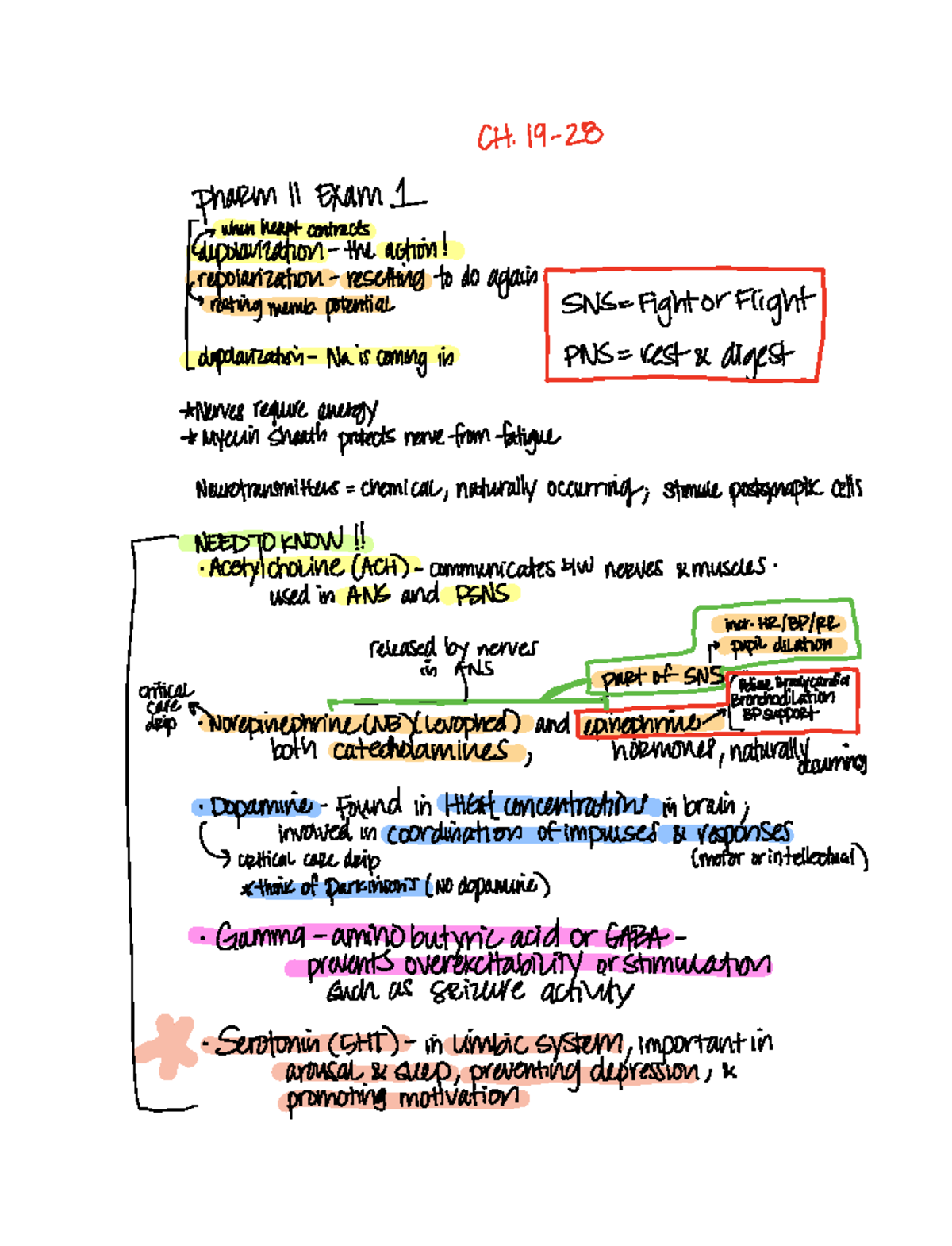 Pharm 2 Exam 1 Notes - CH 19 28 Pharm 11 Exam 1 f whenheartcontracts ...
