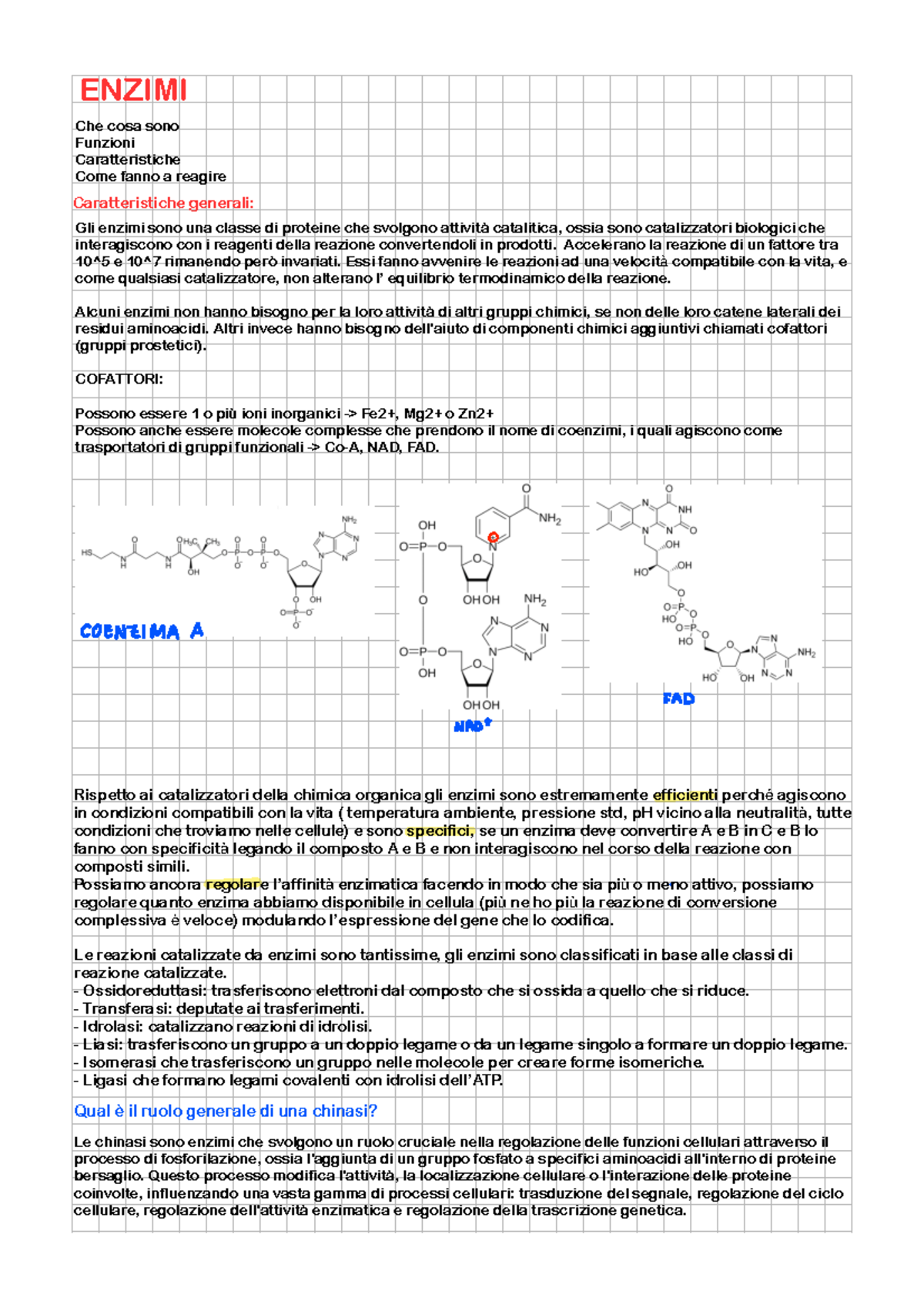 Enzimi - Esercizi e rapide spiegazione - Che cosa sono Funzioni ...