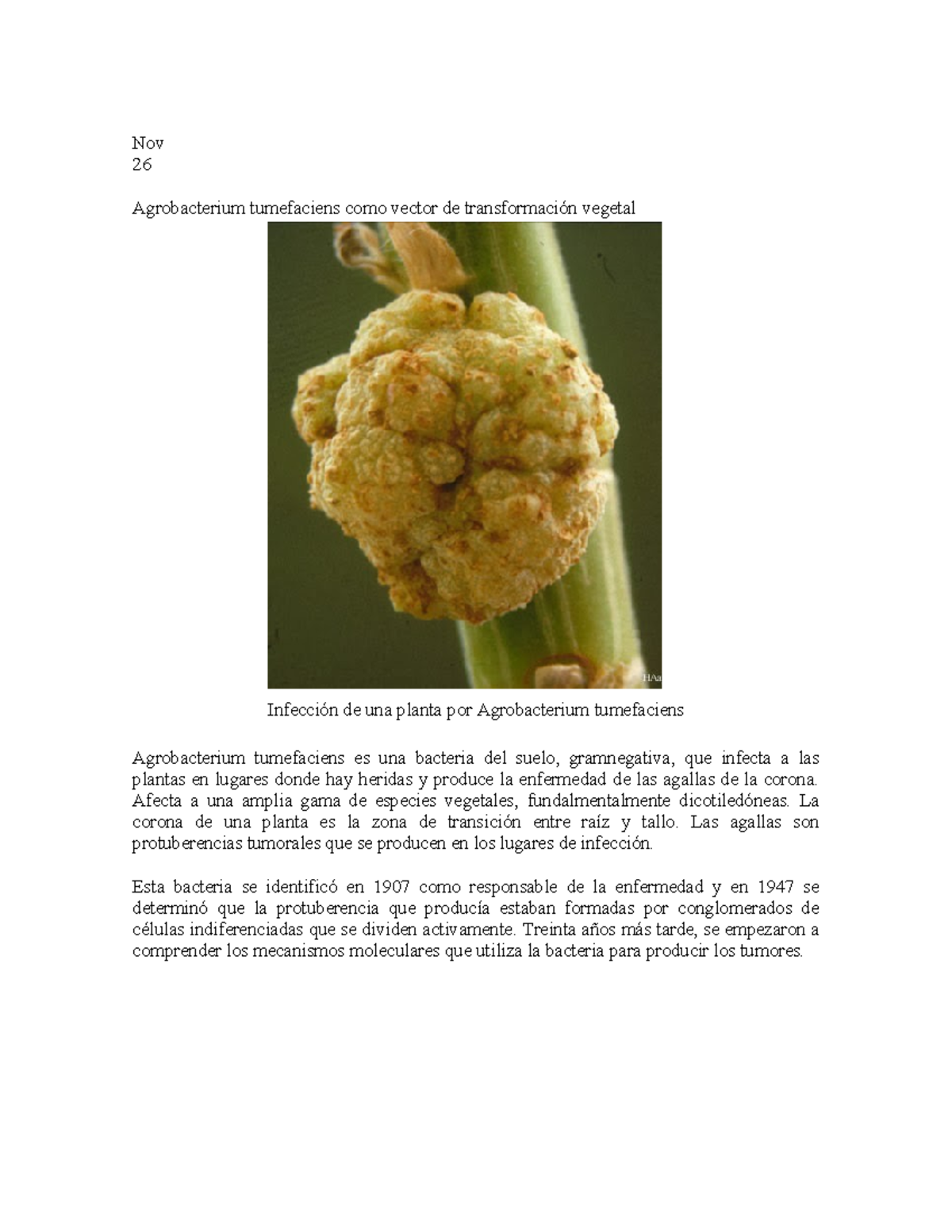Apuntes Fisiologia Vegetal Agrobacterium - Nov 26 Agrobacterium ...