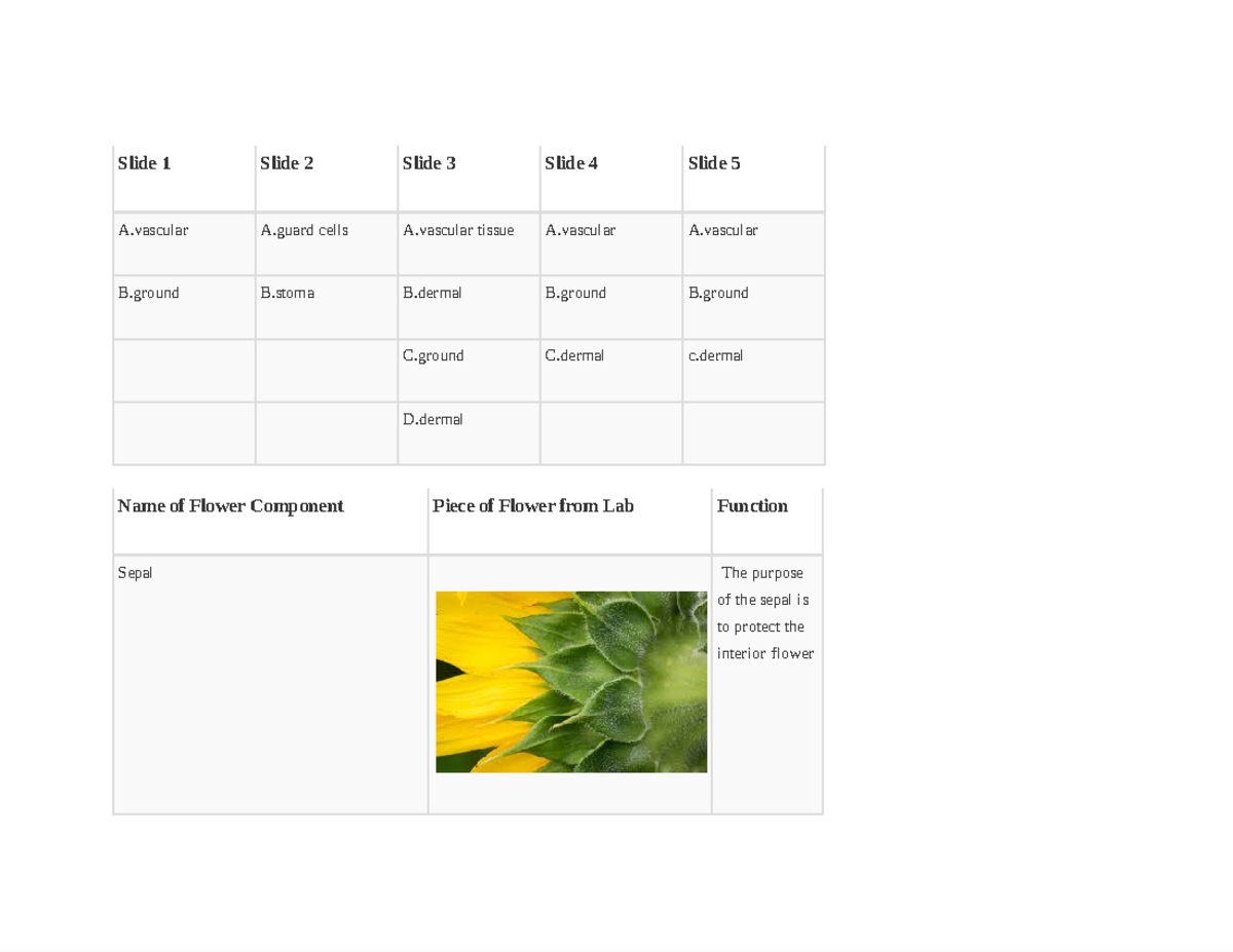 Plant reprodution labe report destiny deel - Google Docs - Slide 1 ...