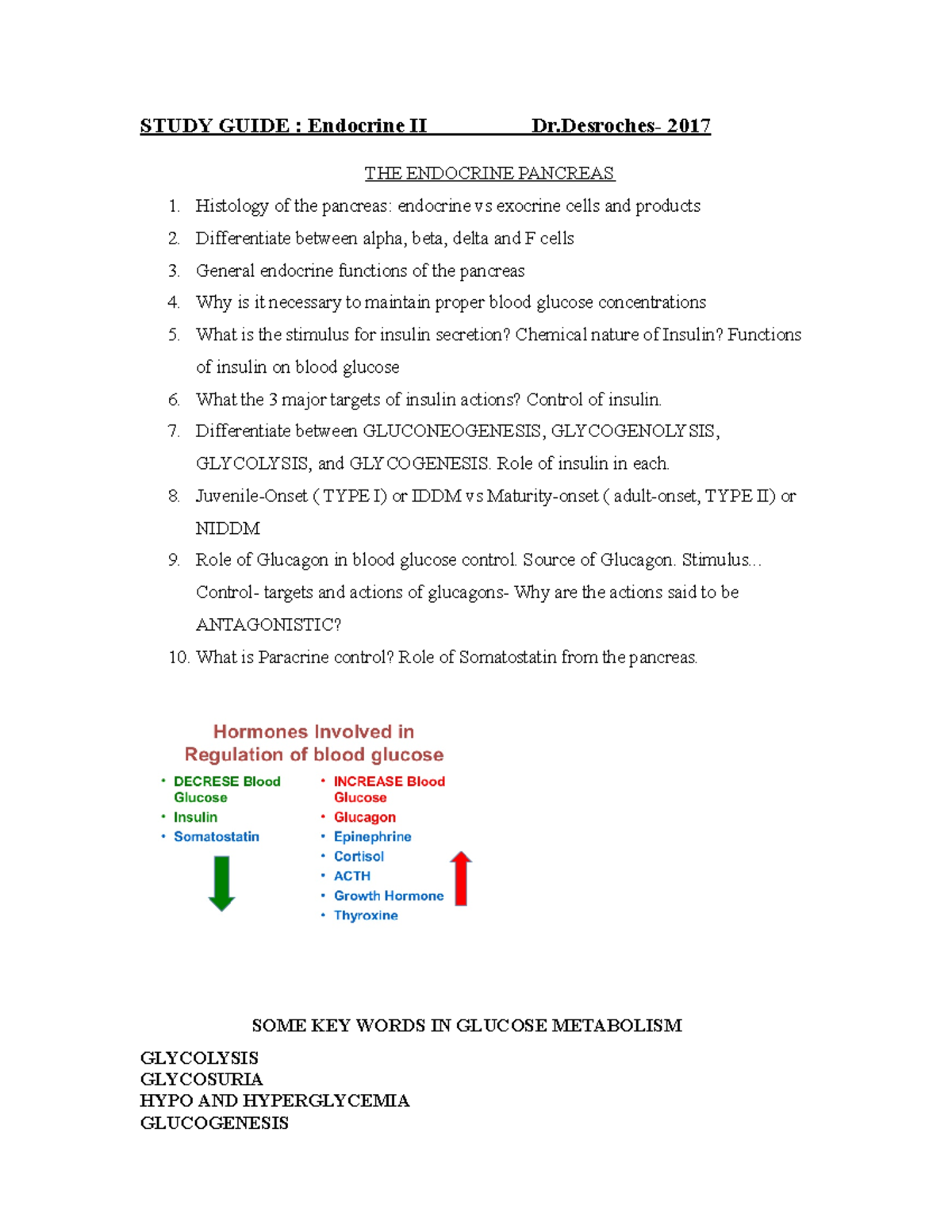 Endocrine part 2 - STUDY GUIDE : Endocrine II Dr- 2017 THE ENDOCRINE ...