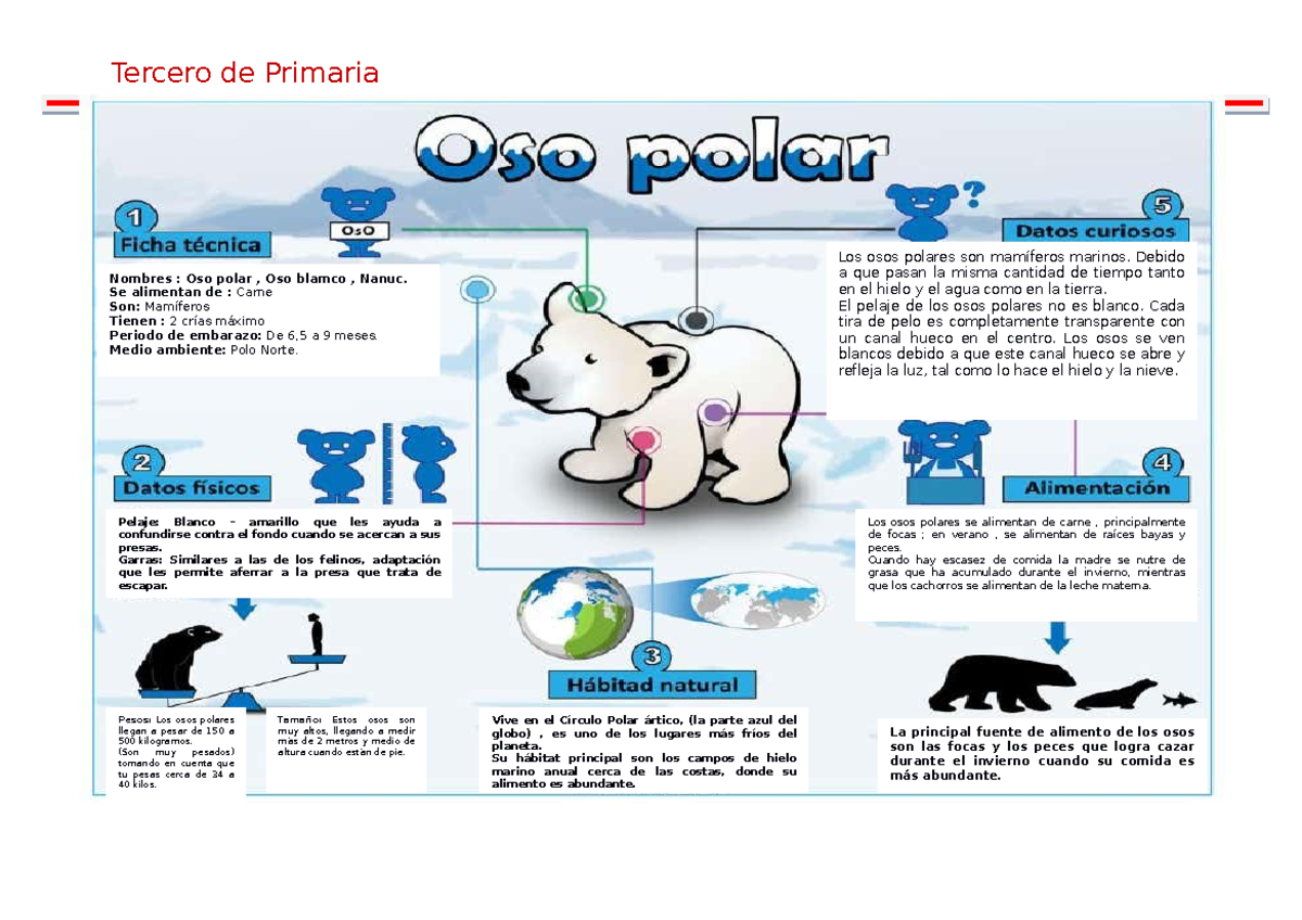 Ficha DE Comunicación - Tercer Grado - Primaria - Tercero de Primaria ...