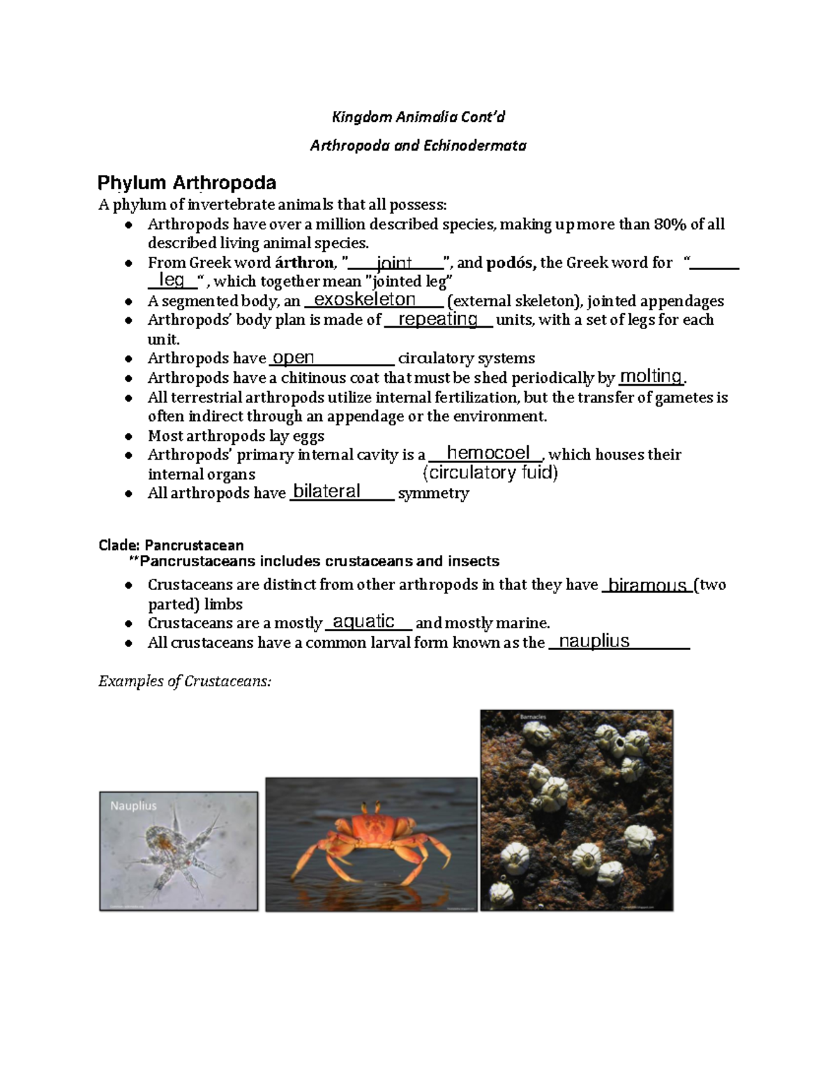 Arthropoda and Echinodermata Lecture Notes - Kingdom Animalia ...