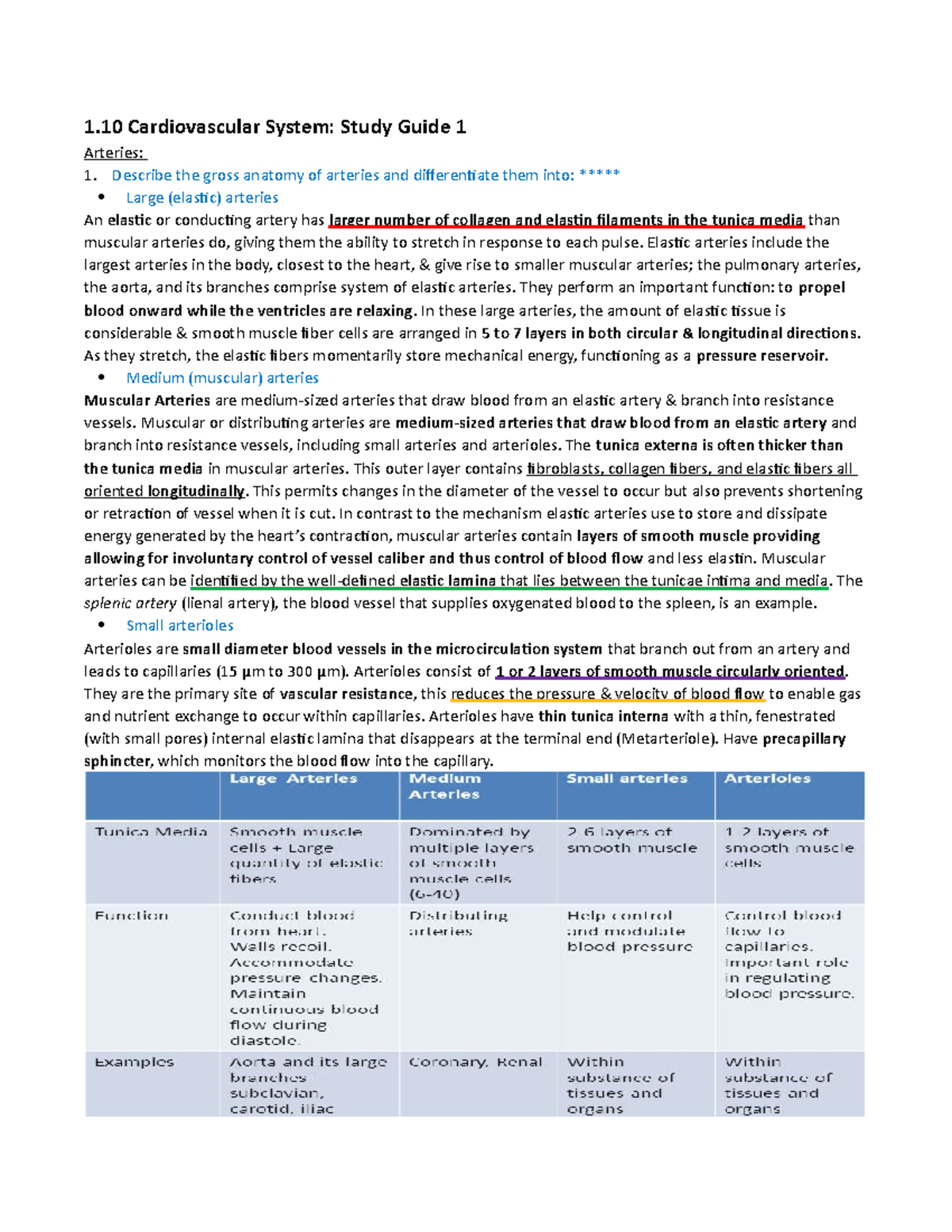 SG 1,2,3 - Mmmmmmmmmmmm - 1 Cardiovascular System: Study Guide 1 Arteries: Describe the gross ...