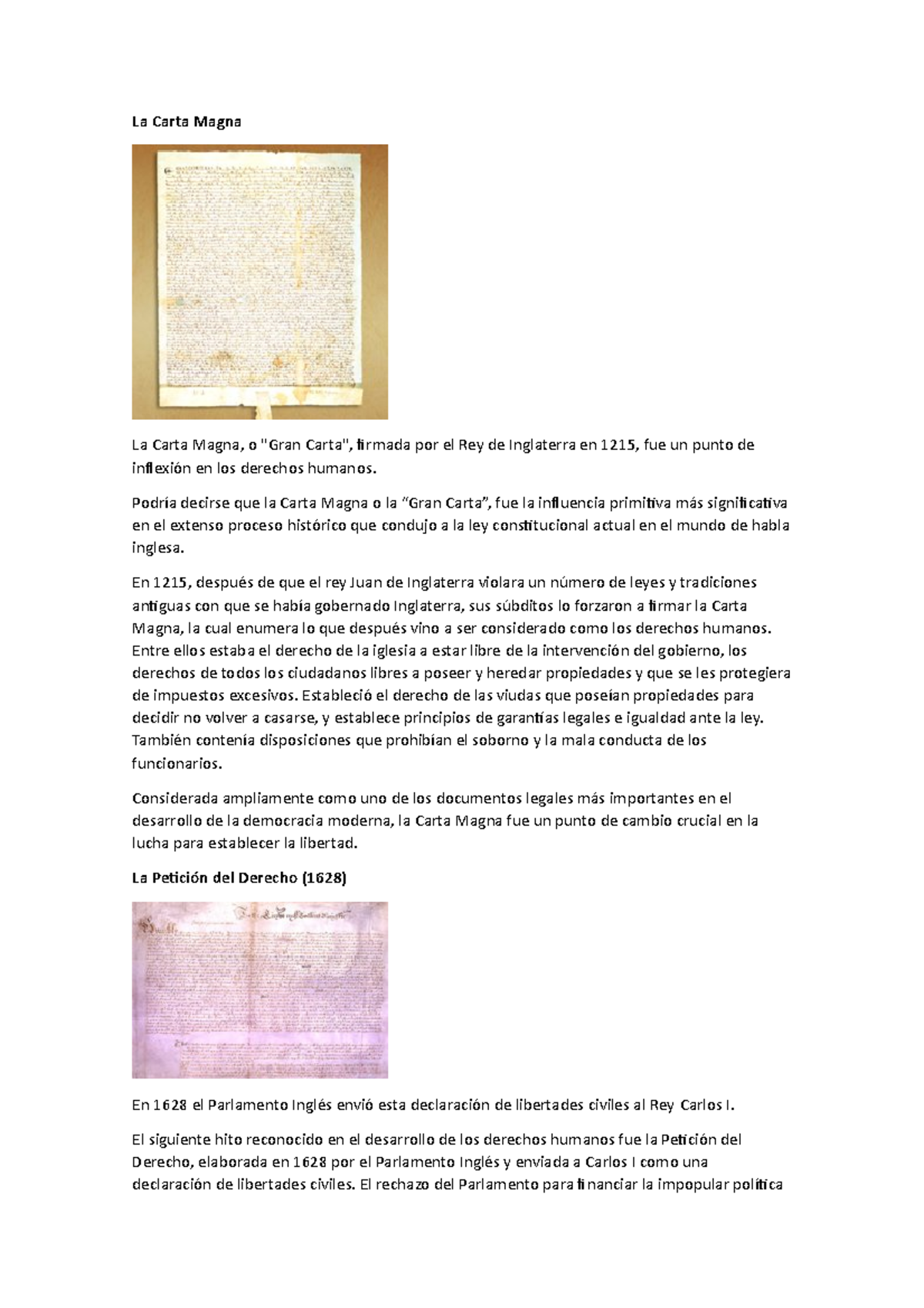 La Carta Magna - Podría decirse que la Carta Magna o la “Gran Carta ...