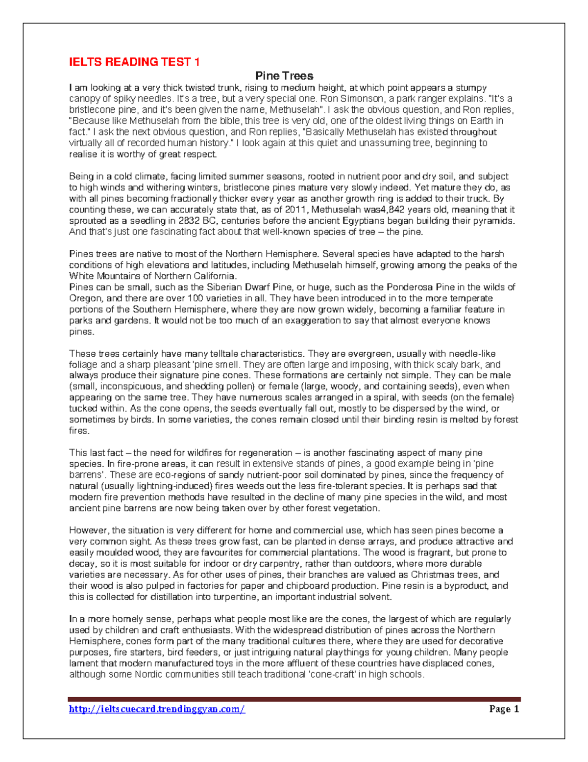 Ielts Reading TEST 1 - IELTS READING TEST 1 Pine Trees I am looking at ...