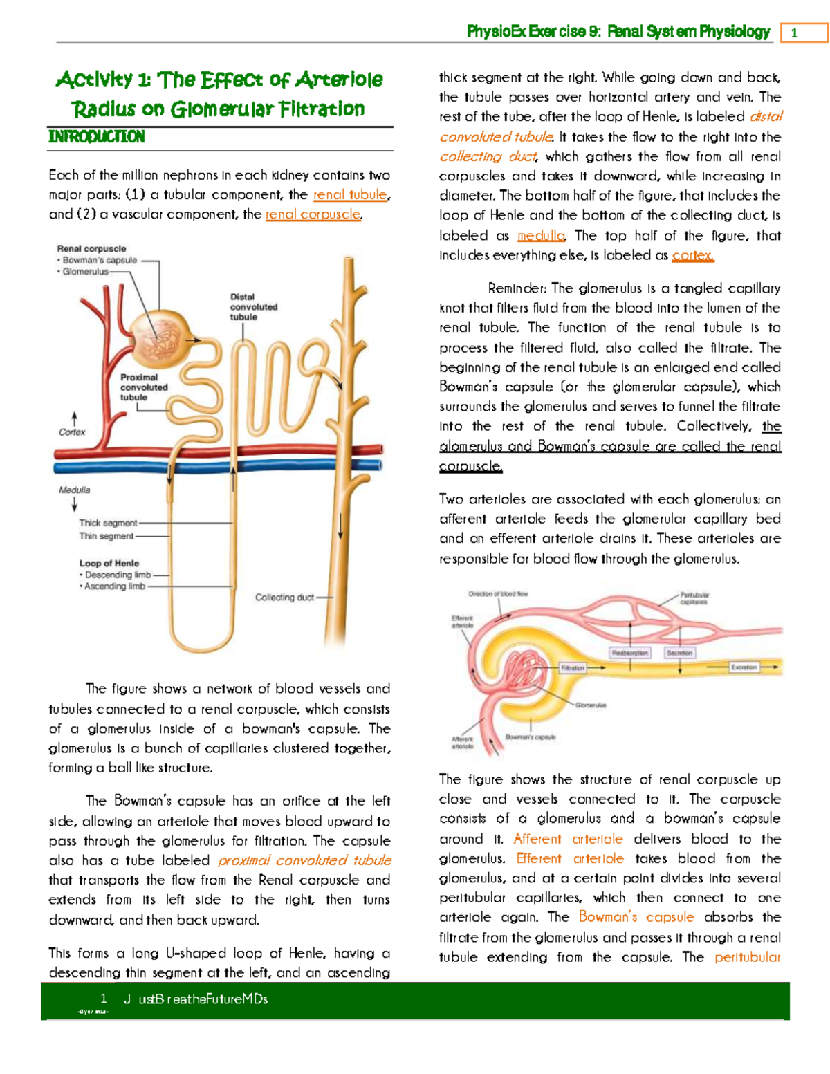 PEX-exercise 9 (no review sheet answers) - 1 J ustB reatheFutureMDs ...