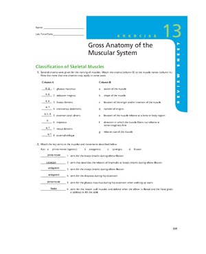 Ex 12 - Lab assignment - 191 Microscopic Anatomy and Organization of ...
