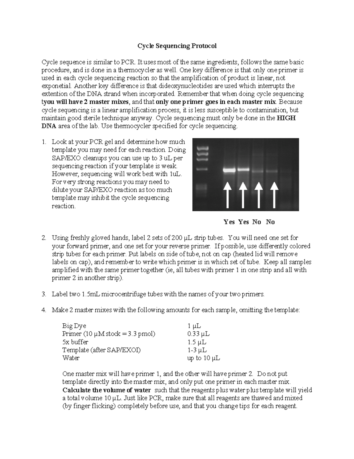 Cycle sequencing - Lecture notes 1 - Cycle Sequencing Protocol Cycle ...