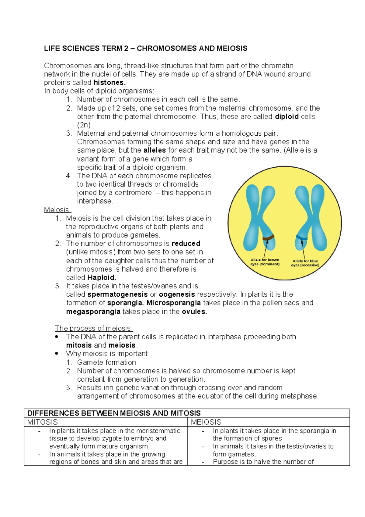 Chromosomes AND Meisosis - LIFE SCIENCES TERM 2 – CHROMOSOMES AND ...