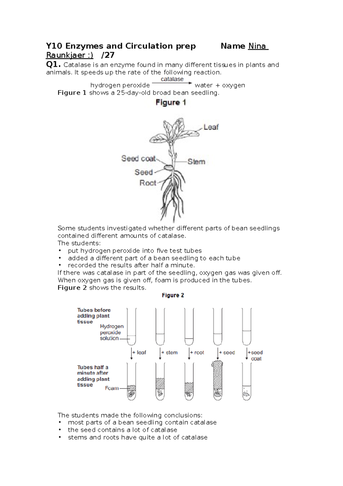 Biology Circulation and Enzymes - Y10 Enzymes and Circulation prep Name ...