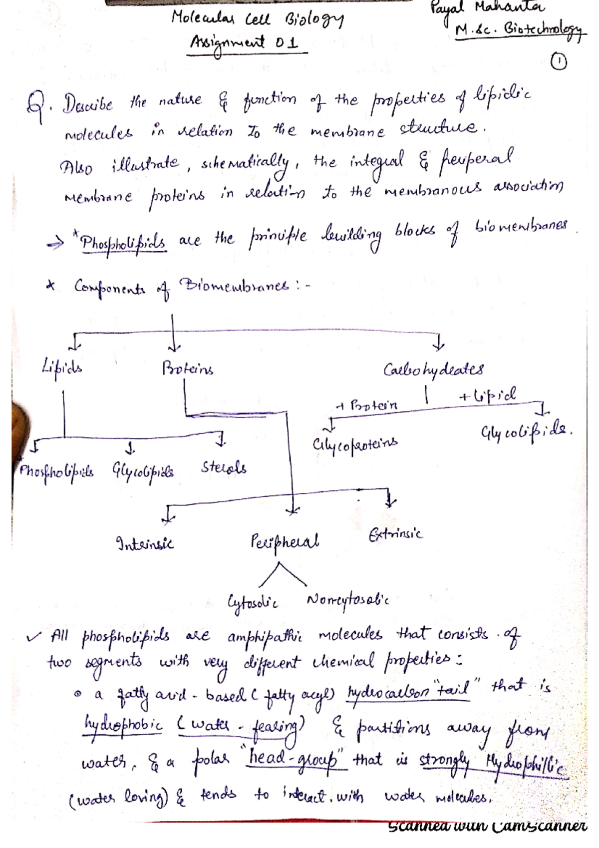 Molecular Cell Biology: Lipids in Cell membrane - MSc. in Biotechnology ...