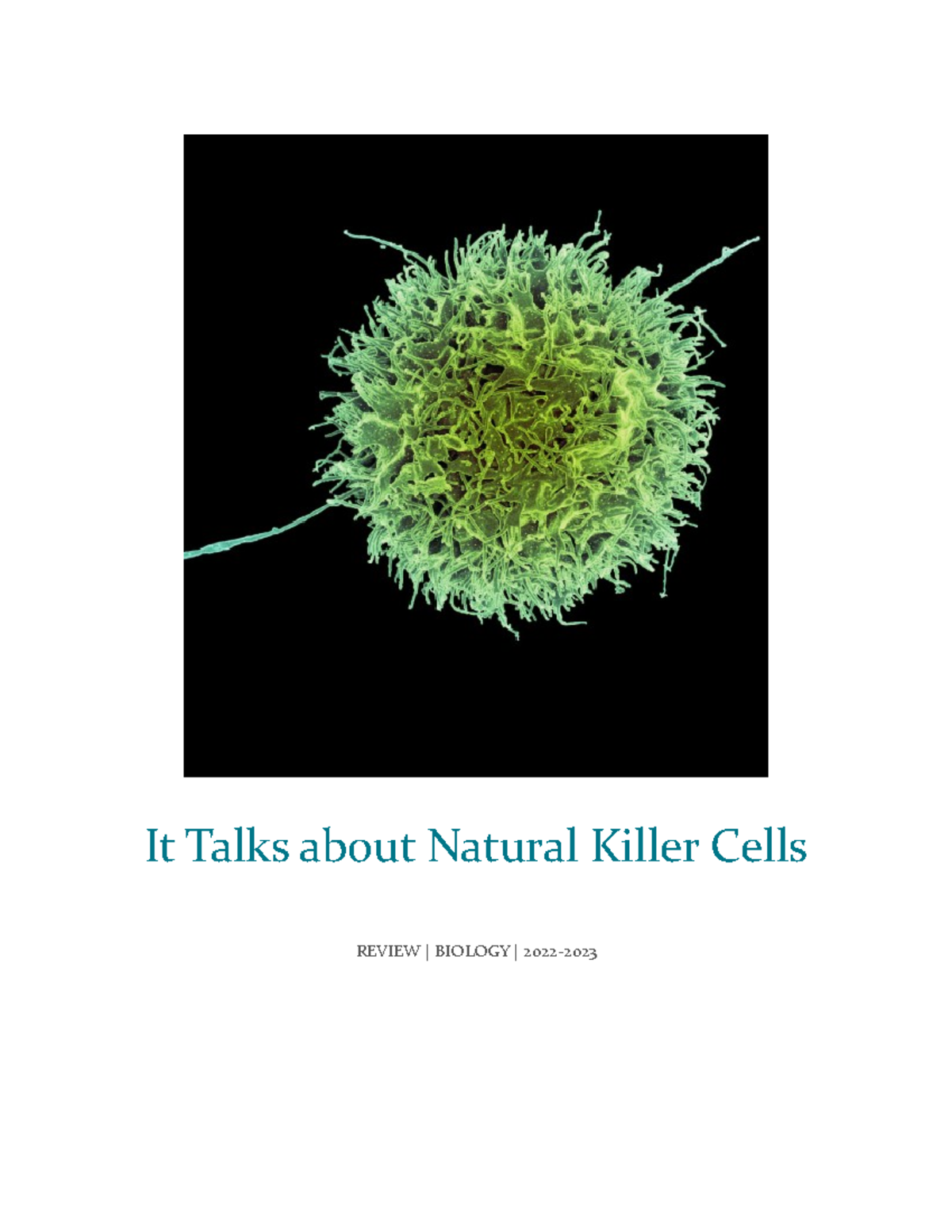 It Talks about Natural Killer Cells - Definition, Action, Cancer, and ...