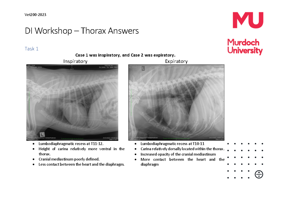 VET200 Thorax Answers - Summary Structure and function 1 - DI Workshop ...