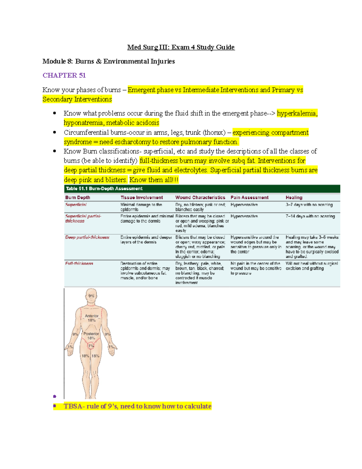 FILE 2426 - exam 4 - Med Surg III: Exam 4 Study Guide Module 8: Burns ...