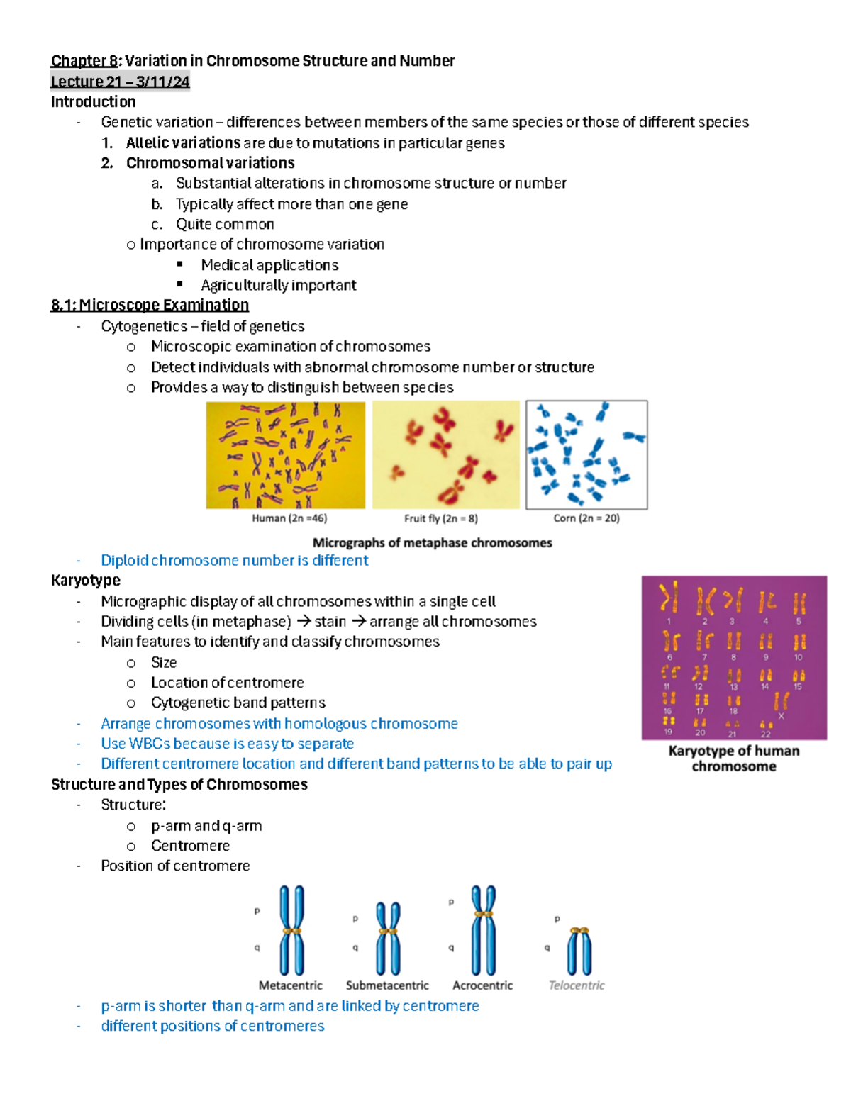 Genetics Chapter 8 Notes - Chapter 8: Variation in Chromosome Structure ...