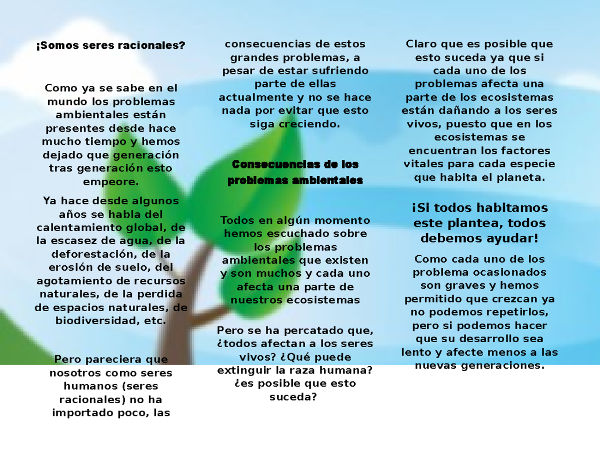 PLAN DE Sencibilizacion - ¡Somos seres racionales? Como ya se sabe en ...