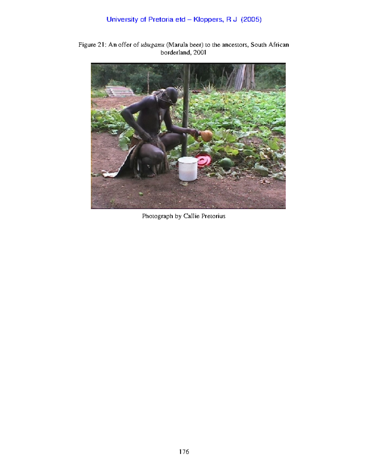 08chapter 8 - Colonisation - Figure 21: An offer of ubuganu (Marula ...