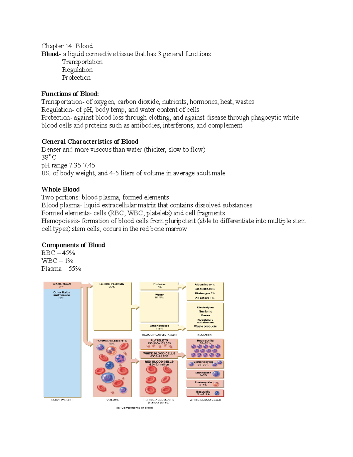 Chapter 14 Layout - Chapter 14: Blood Blood- a liquid connective tissue ...