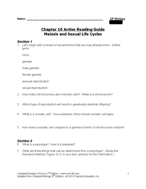 Cellular Respiration Photosynthesis Study Guide - AP BIOLOGY CELLULAR ...