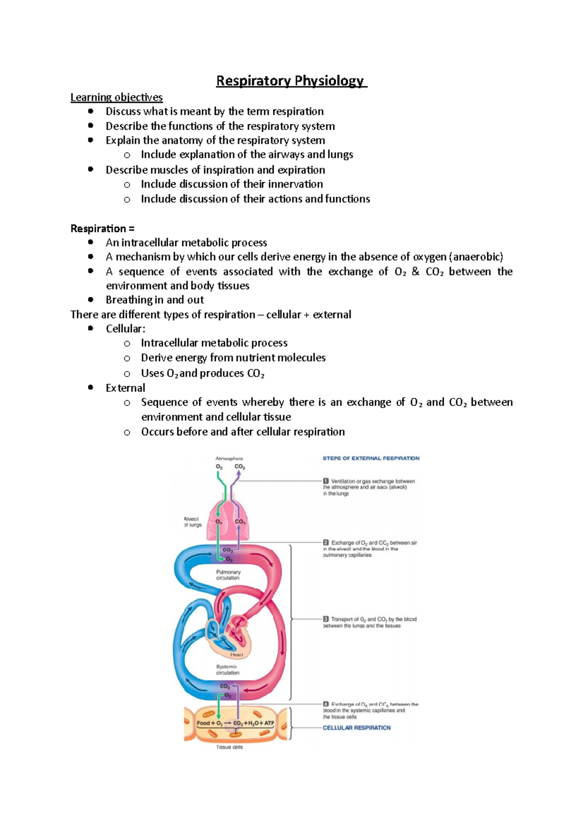 Respiratory Physiology - Lt 14 - Respiratory Physiology Learning ...