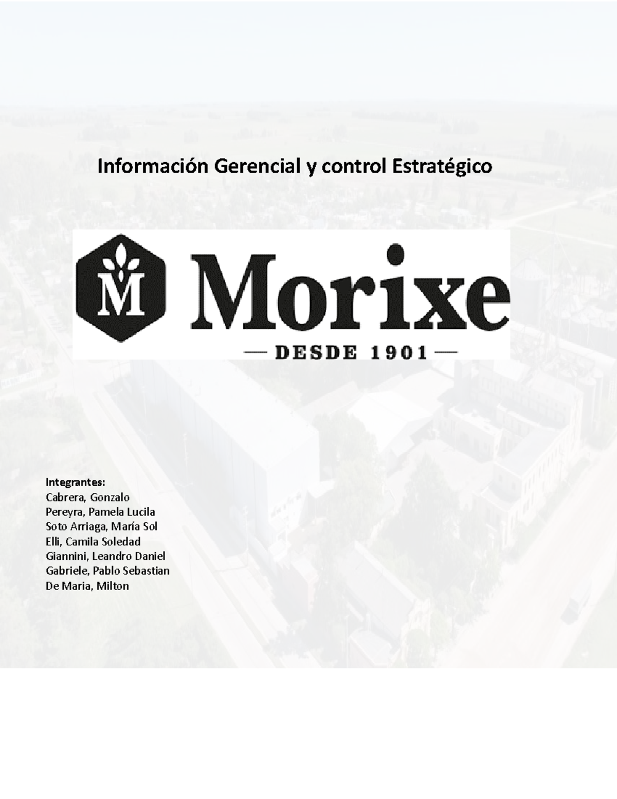 TP IGE Morixe Hermanos - tp informacion gerencial - Información ...
