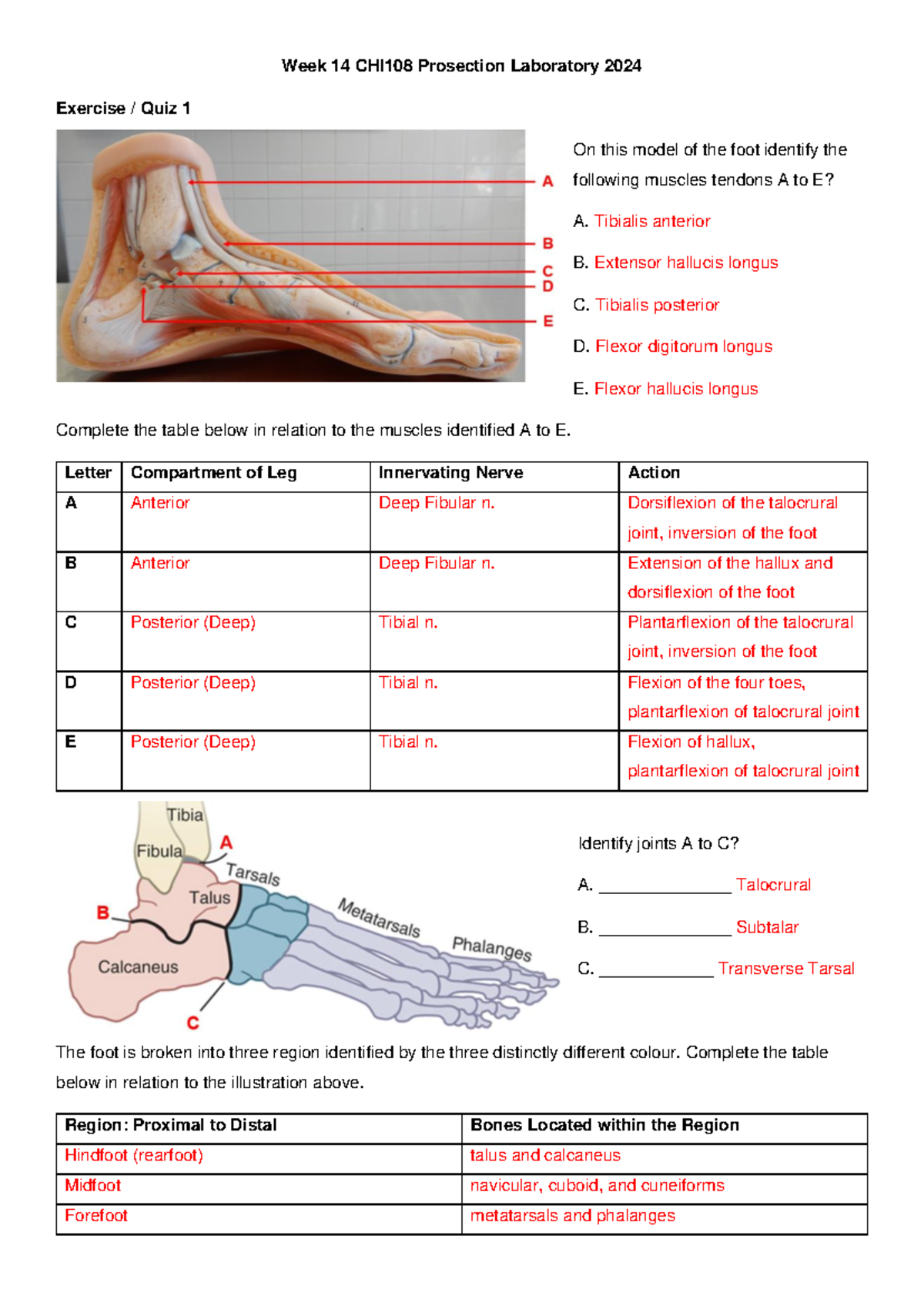 W14 Prosection Laboratory Notes - Answers - Week 14 CHI108 Prosection ...