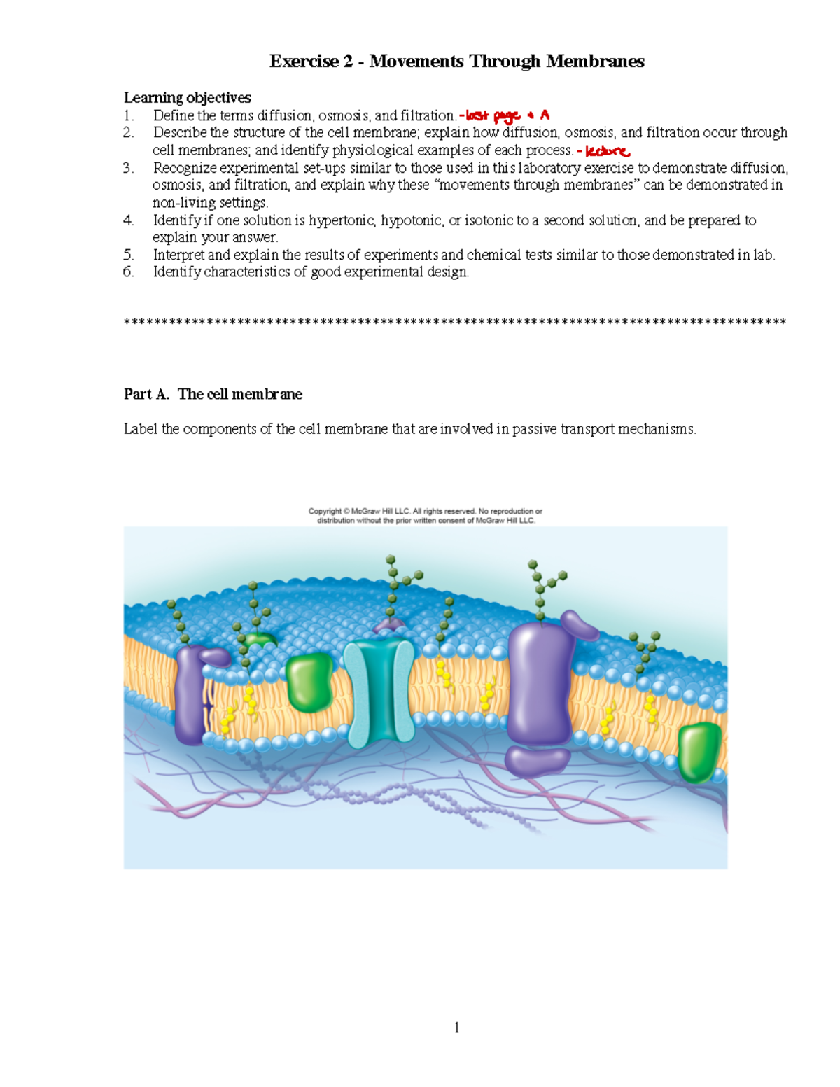 Exercise 2 - Exercise 2 - Movements Through Membranes Learning ...