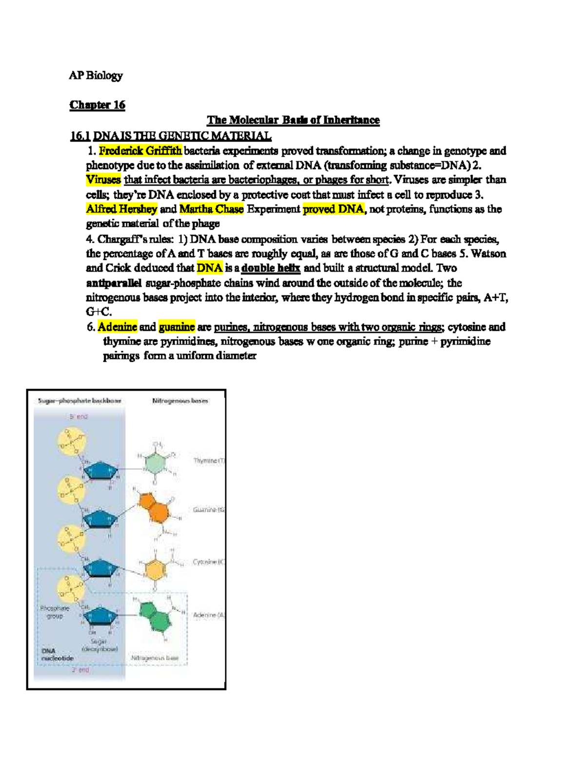 Unit 5 Study Guide - BIO 161 - Studocu