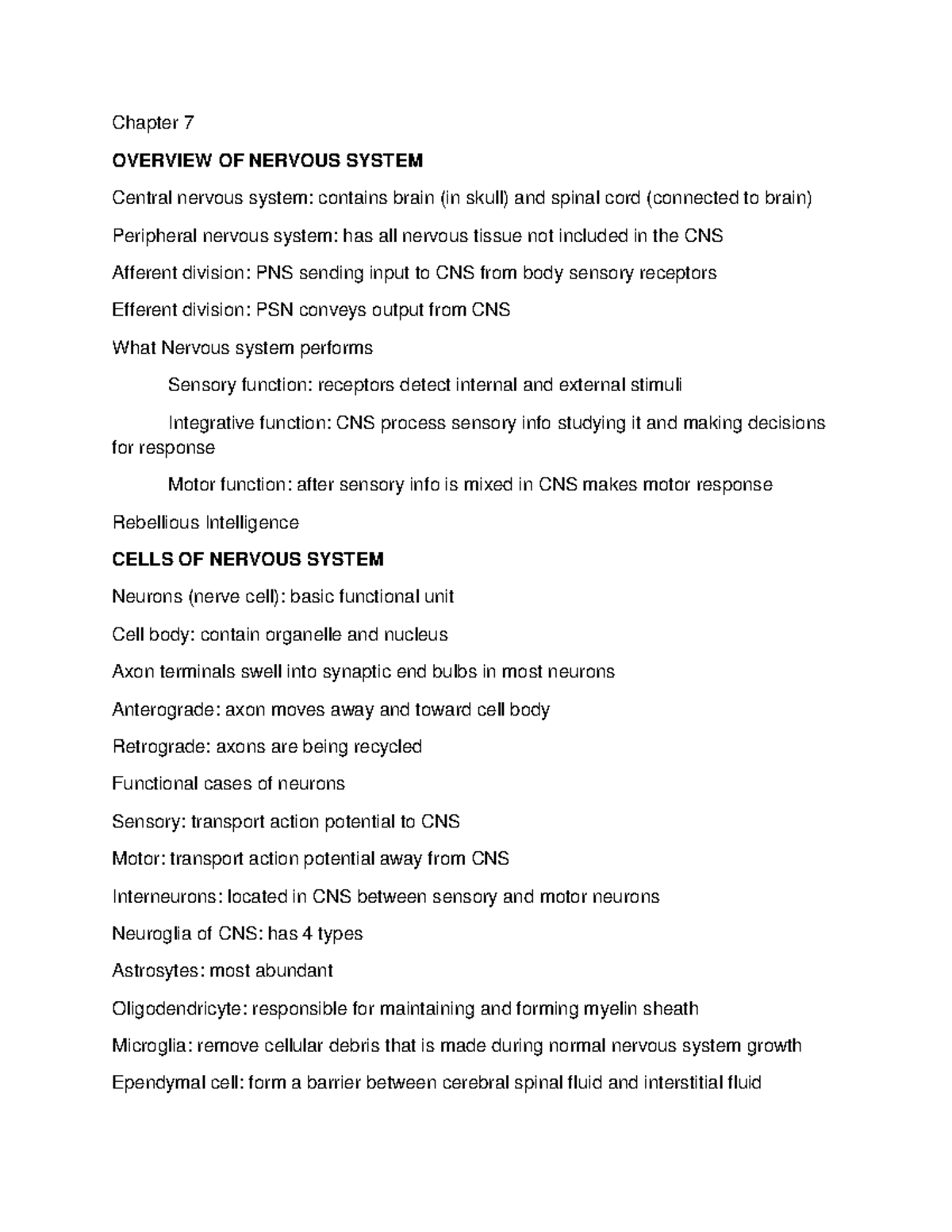 Chapter 7 - lecture notes for anyone - Chapter 7 OVERVIEW OF NERVOUS ...