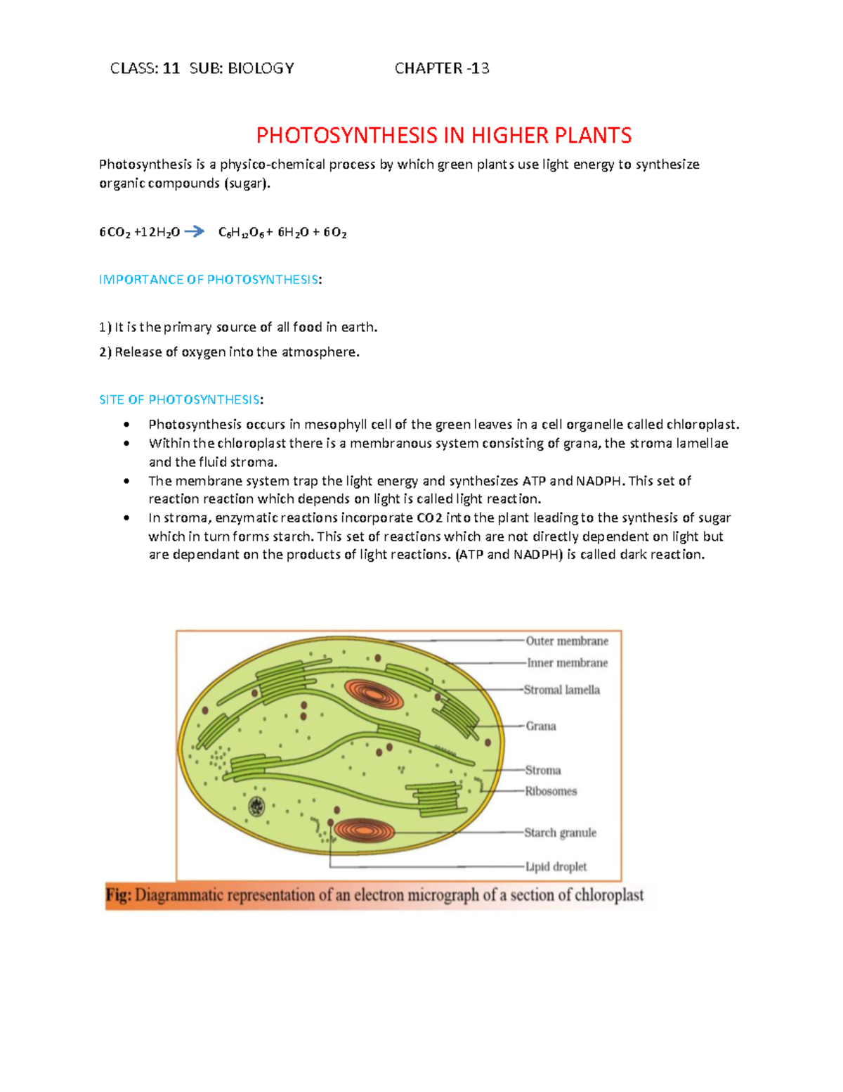 Photosynthesis in higher plants - CLASS: 11 SUB: BIOLOGY CHAPTER - 13 ...
