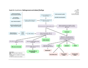 COPD Acute Exacerbation Concept Map - NUR1129 - Studocu