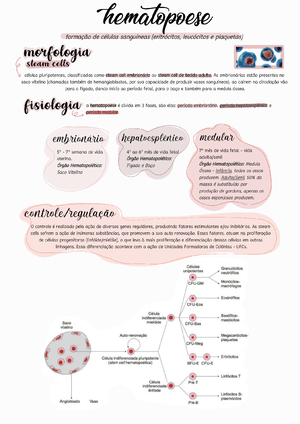 [Solved] Bastonetes de Auer so encontrados em qual tipo de leucemia A ...