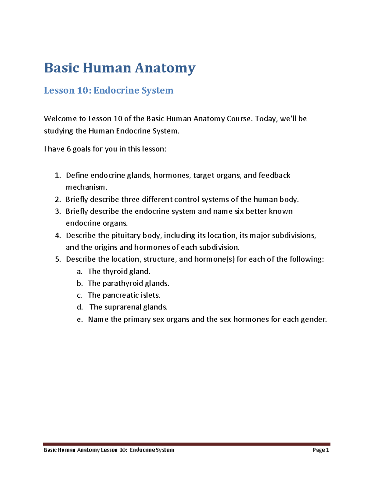 Anatomy 10 Lecture Notes - Basic Human Anatomy Lesson 10: Endocrine ...