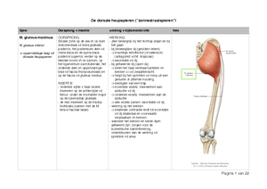Anatomische vlakken, assen, oriëntaties en bewegingen - Anatomische ...
